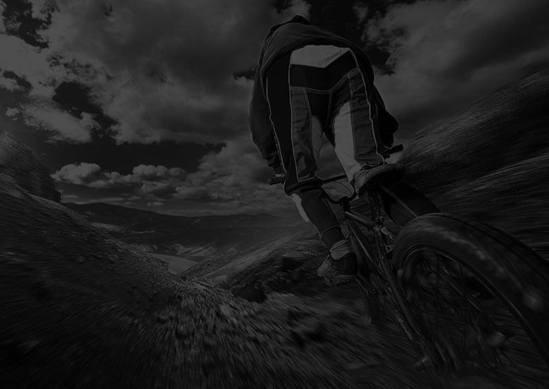 Cycles Bertin - La renaissance est en route